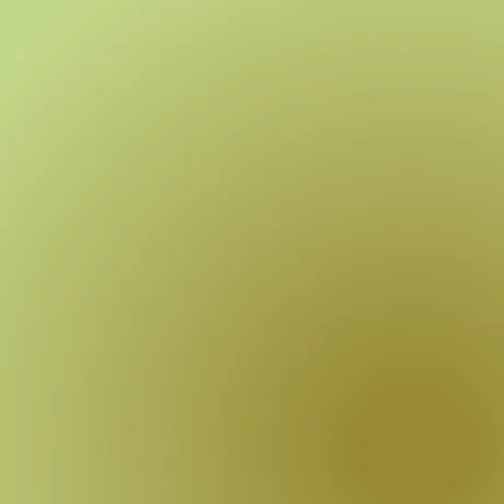 Kang He | Observable