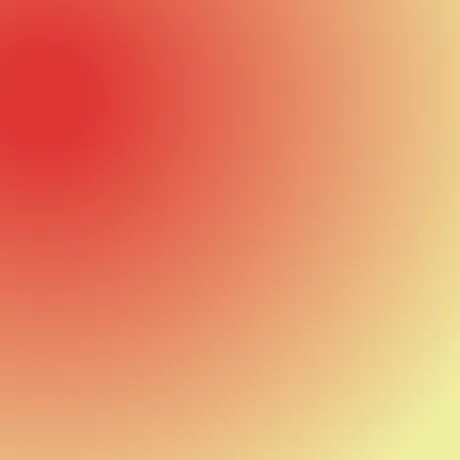 Cynthia Cui | Observable