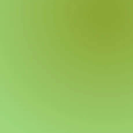 Mengyuan Dong | Observable