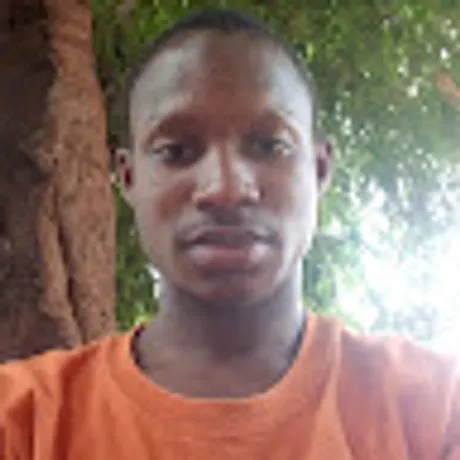 Julien Sawadogo | Observable