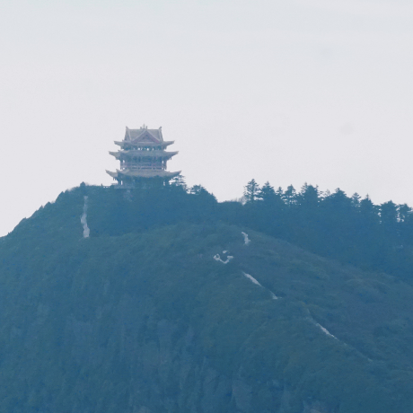 Steffi Jiang's Workspace | Observable