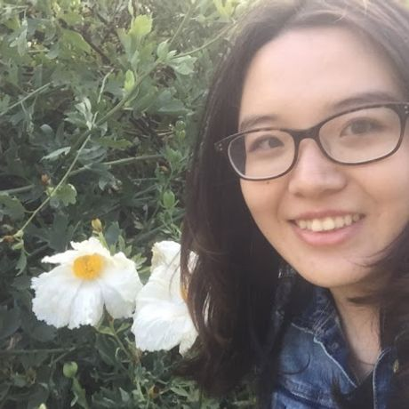 Wenqi Luo | Observable