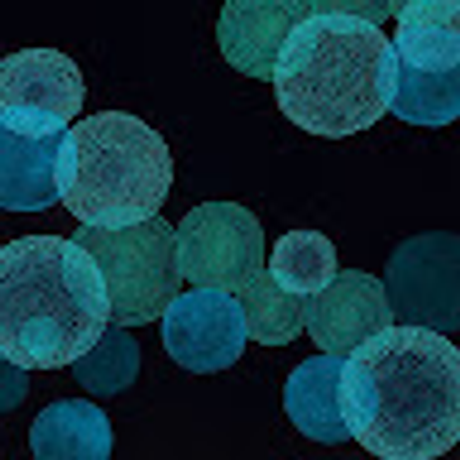 Robert Beckstead | Observable