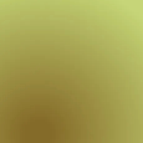 Drew Branson | Observable