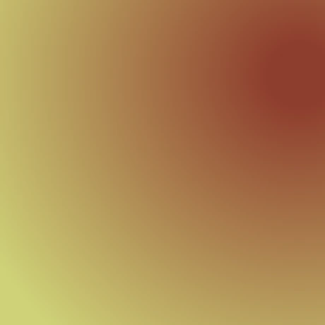 Elif Dila Gunes | Observable