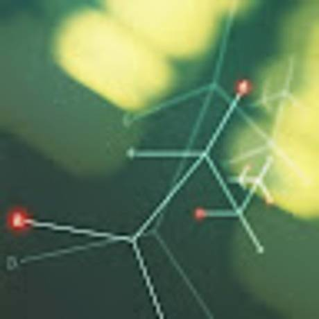 Holomorphic Guy | Observable