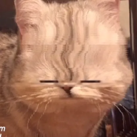 Brian's Workspace | Observable