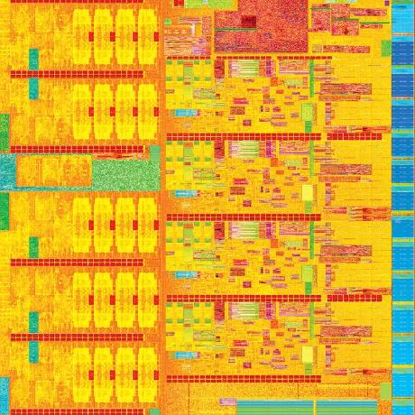 Michael P. | Observable