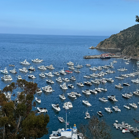 Visualization Design | Observable