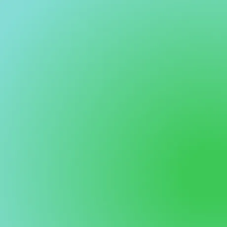 Yifei Gu | Observable