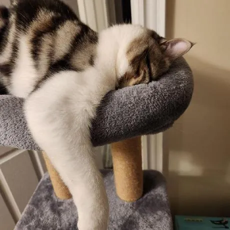 Natalie LEUNG | Observable