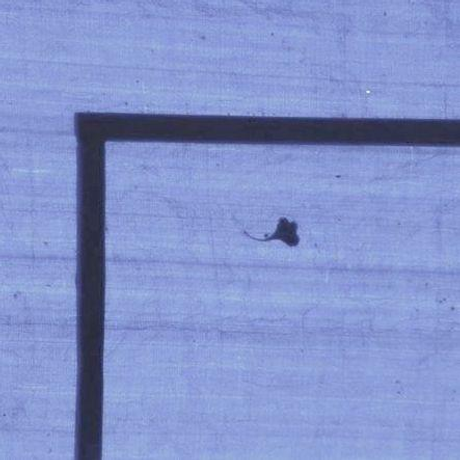 ciju cherian | Observable