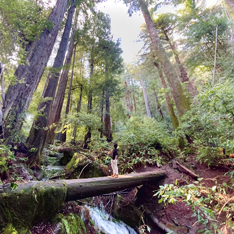 Joji's Workspace | Observable