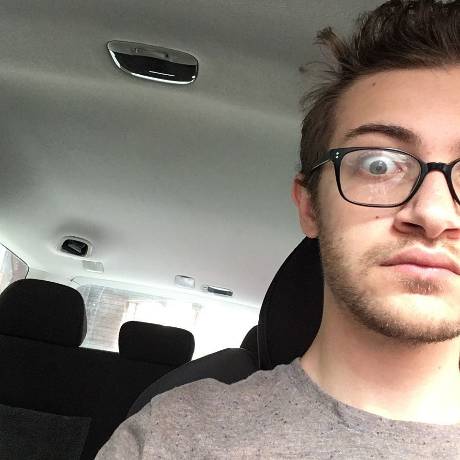 Sam Zierler | Observable