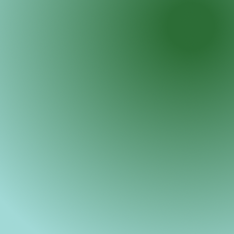 Merve Cerit's Workspace | Observable