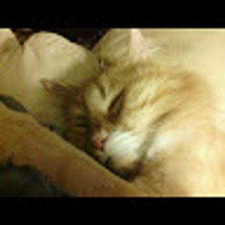 Nathan Perrin | Observable