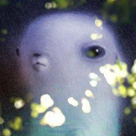 Thomas Neil James Shadwell | Observable