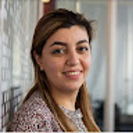 Mina Fallah | Observable