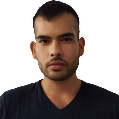 David Zamora | Observable