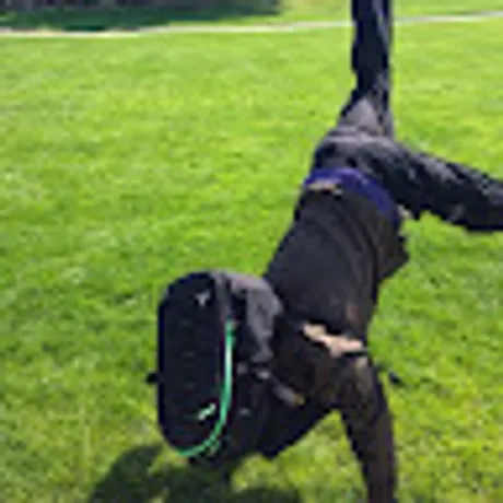 Junlin Wang | Observable