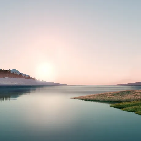 Steve Liu Observable