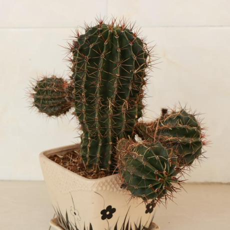 Fanxu Meng | Observable