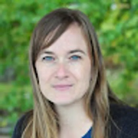 Allison | Observable