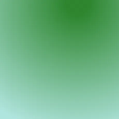 CSC 173: Data Visualization | Observable