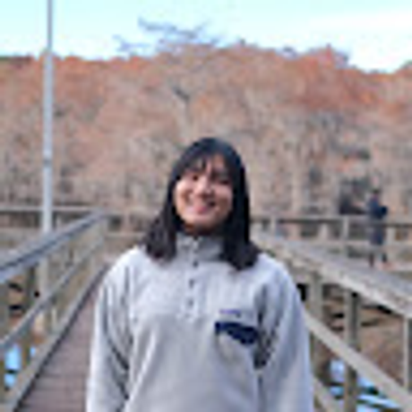 Phoebe Ly | Observable