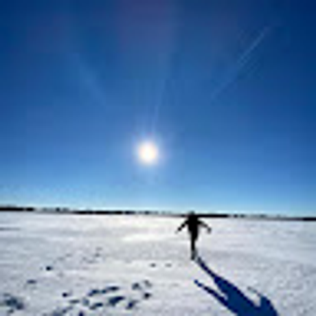 Clarisa Gomez Faria | Observable