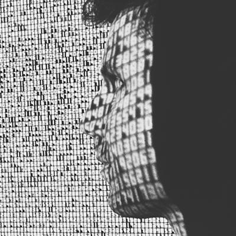 David Blood | Observable