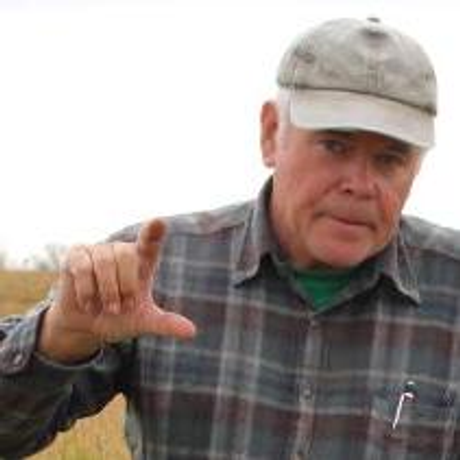 Peter Donovan | Observable