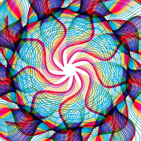 🪦 dis-2024-fall | Observable