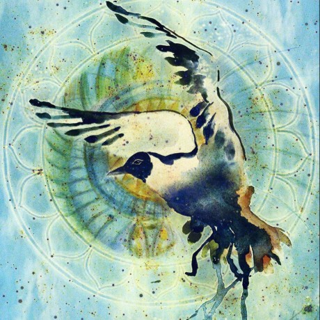 Dmitry Mishin | Observable