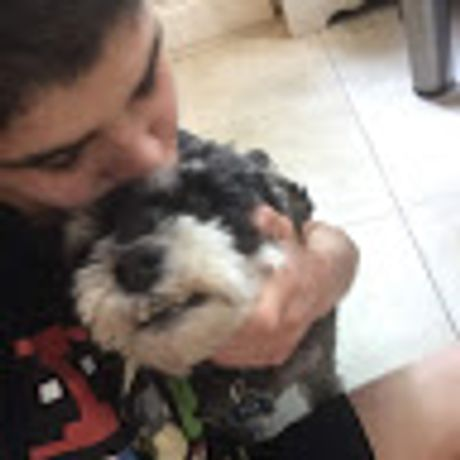 Benjamin Amos | Observable