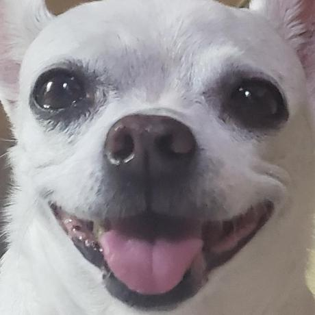 Eric Yancey Dauenhauer | Observable