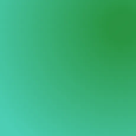 yanlin L | Observable