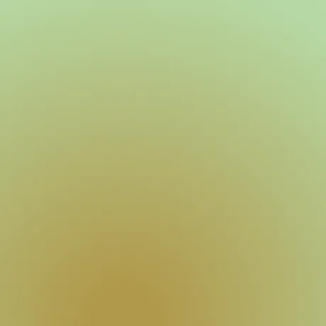 Sepideh HajiHosseinKhani | Observable