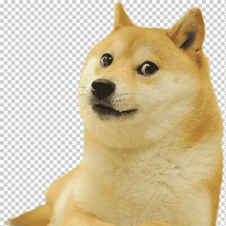 Arc testing | Observable