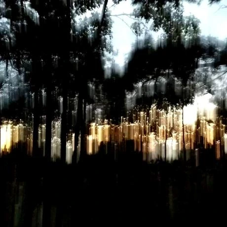 Dylan Burati | Observable