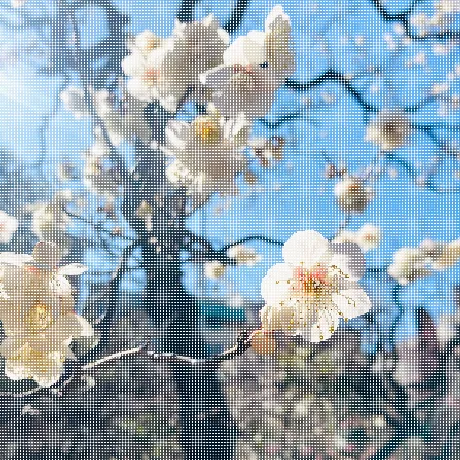 Yuta Inaba | Observable