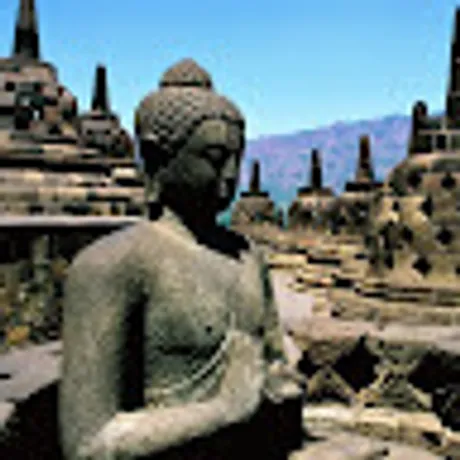 Cham Kotage | Observable