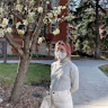 Zixin Zhao | Observable