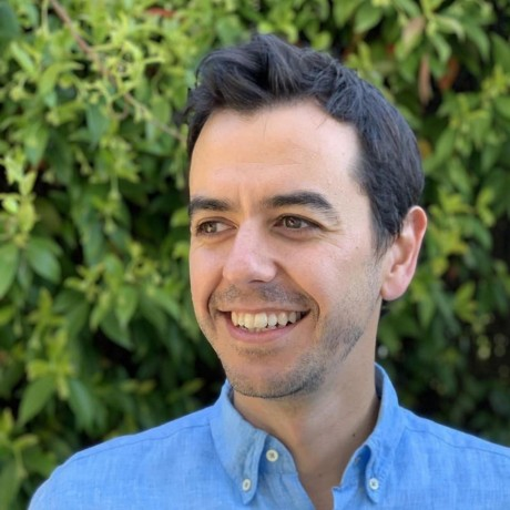 Sergi Mansilla | Observable