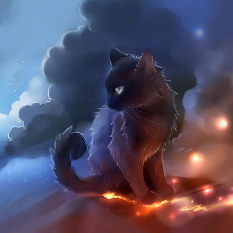 David Cast | Observable