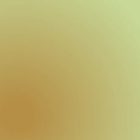 Ziting Li | Observable