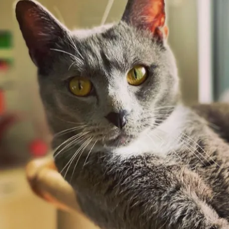 Cécile | Observable