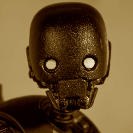 Michaël Guitton | Observable