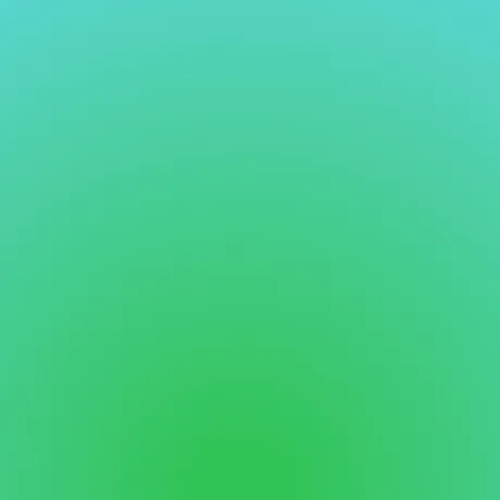 Tyler Said and Nathan Falceso | Observable