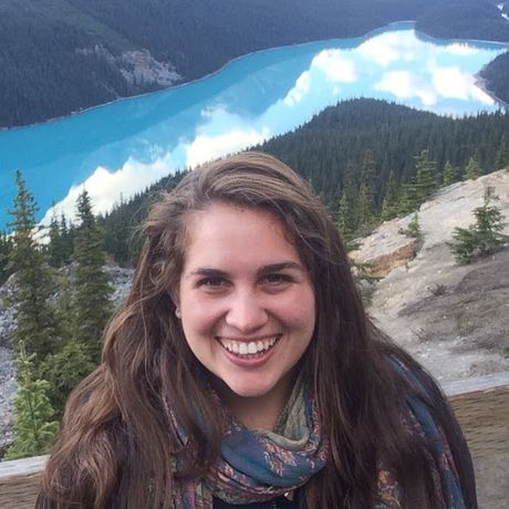 Marisa Prasse | Observable